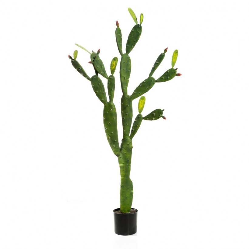Artificial Large Desert Cactus Plant - Smithers of Stamford • UK, US ...