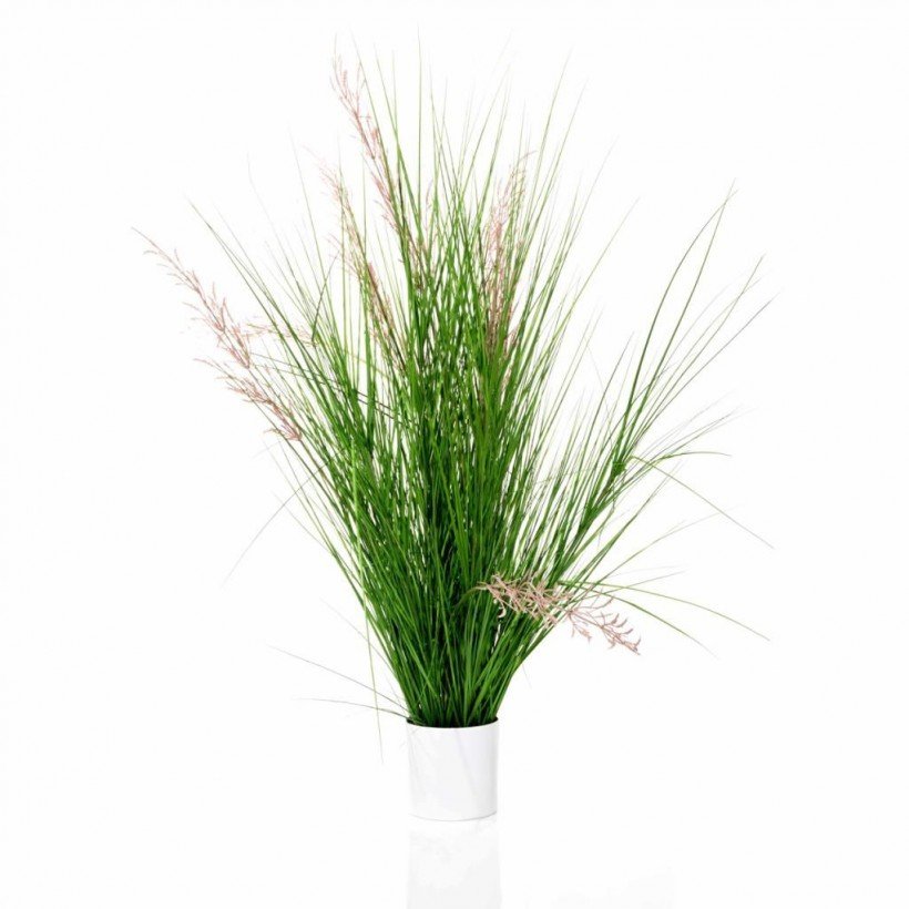 Reed Plant Fake