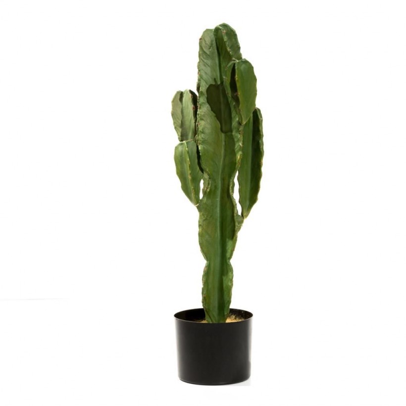 Artificial Large Desert Cactus Plant - Smithers of Stamford • UK, US ...